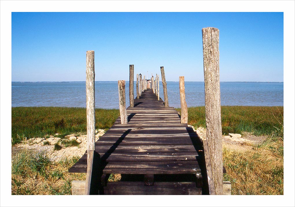 Les carrelets, patrimoine de la Gironde – ARCHIPHOTOS